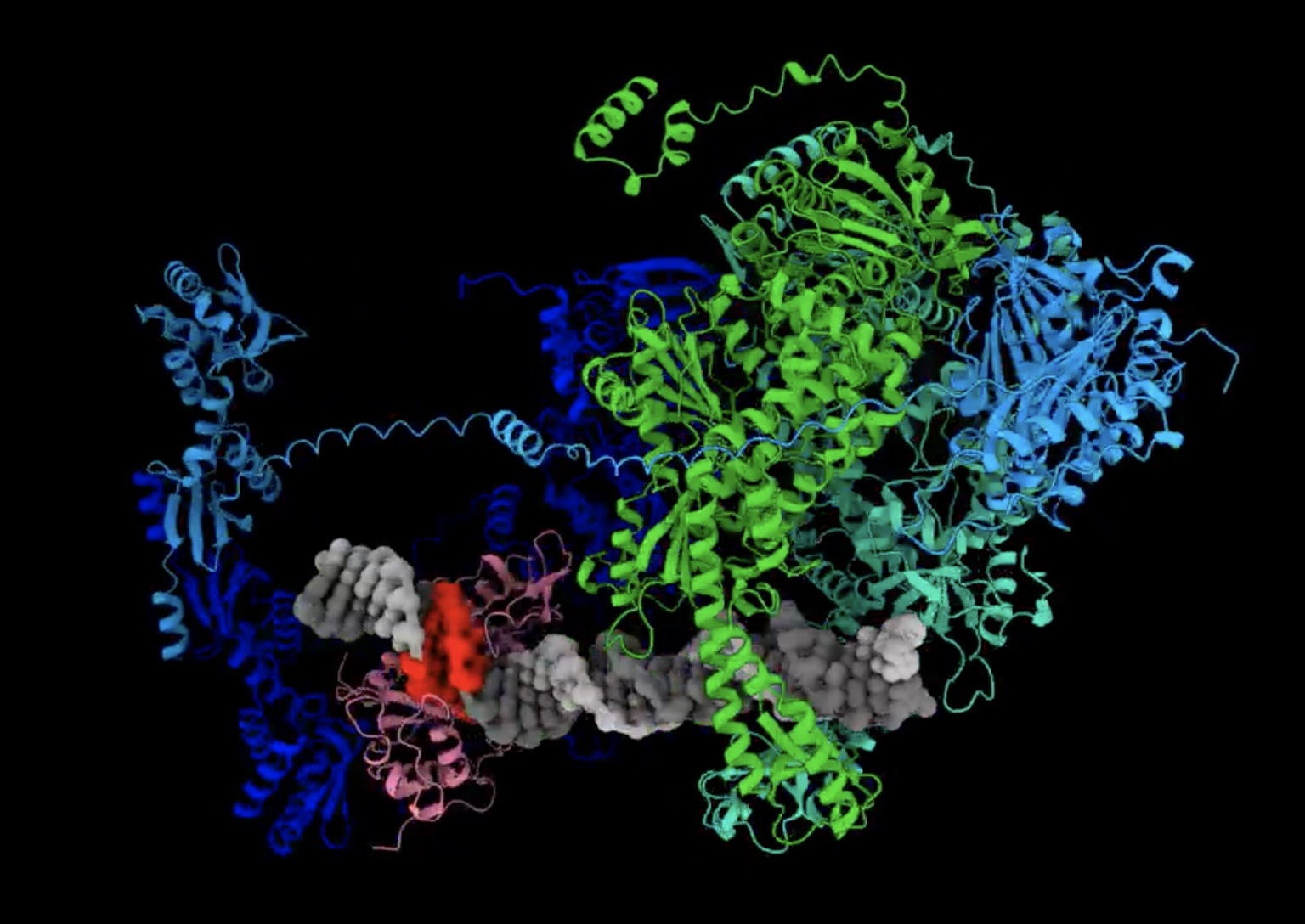 AlphaFold 3 ma przewidywać strukturę i interakcje wszystkich cząsteczek ...